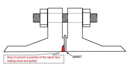 Raised Face Flanges | Olympus IMS