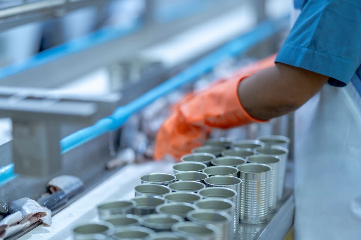 Wear Debris in Food Manufacturing