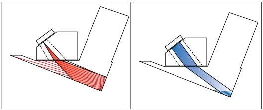 Bridas de cara resaltada | Olympus IMS